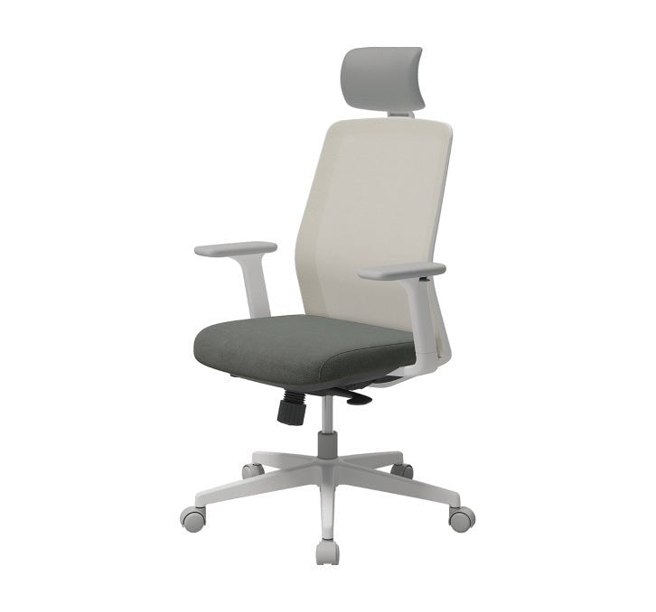 T40 SE Entry Level Ergonomic Chair Australia | Shop Now | SIHOO Australia